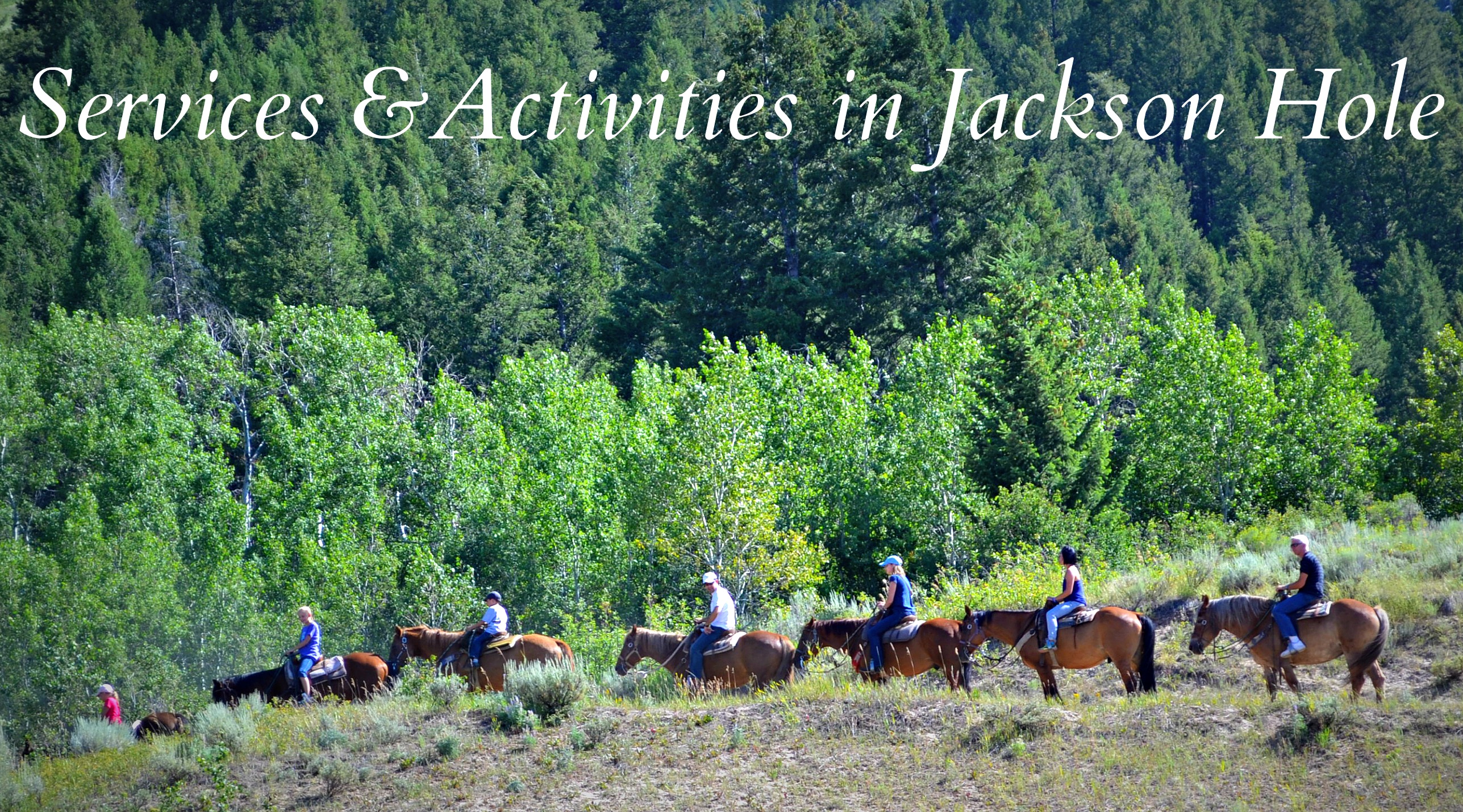 Jackson Hole Service Providers - Jackson Hole Reservations Blog ...