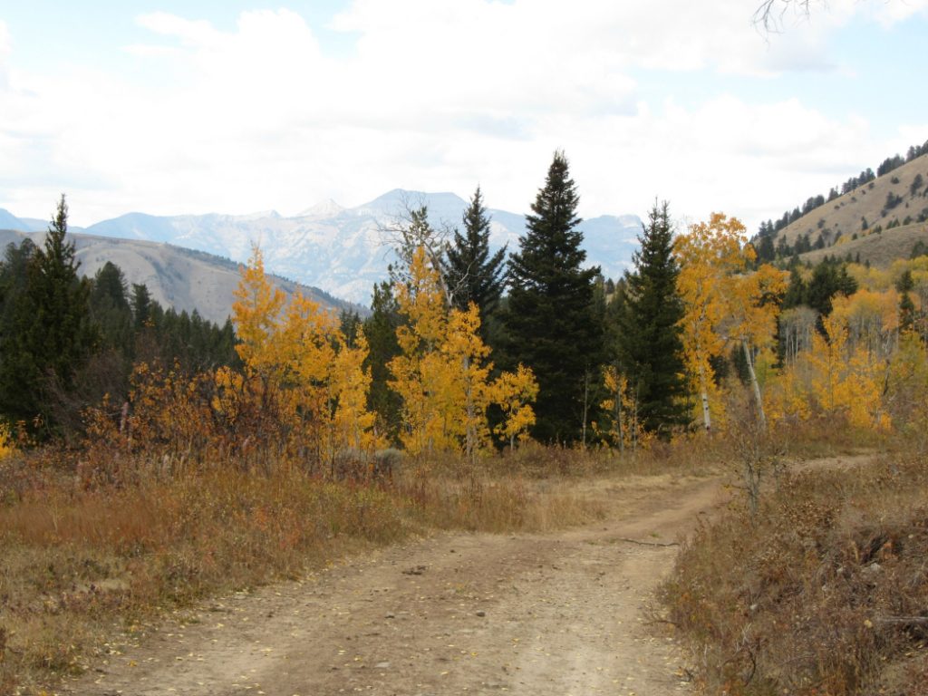 Jackson Hole's Best Kept Secrets - Jackson Hole Reservations