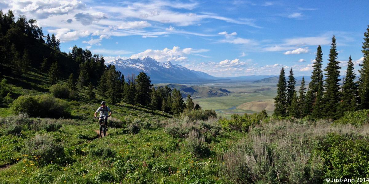 Mountain Biking Tours in Jackson Hole - Jackson Hole Reservations