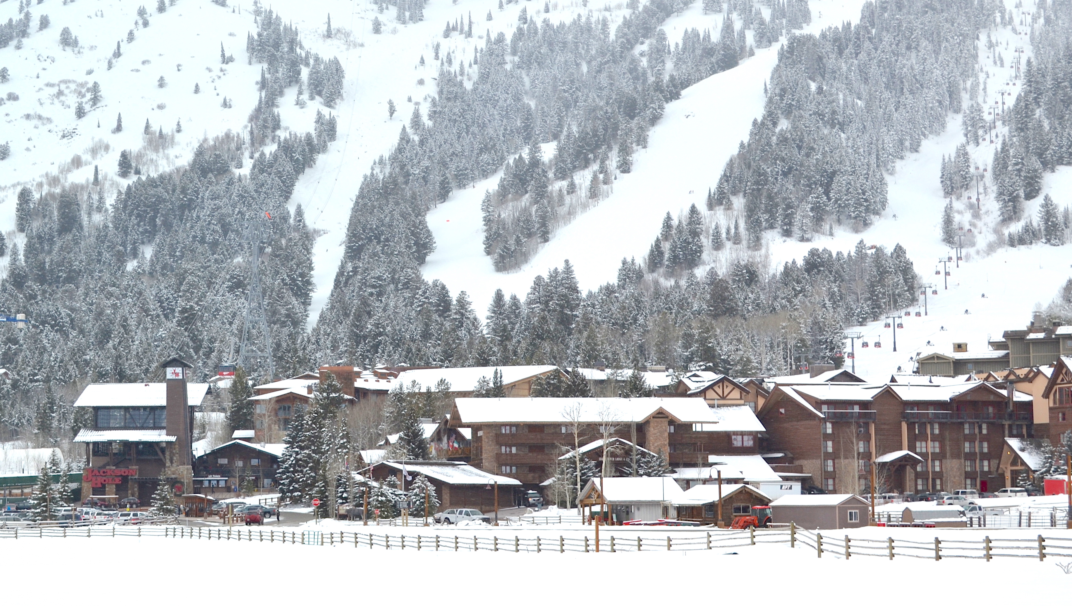 Teton Village - Jackson Hole Reservations