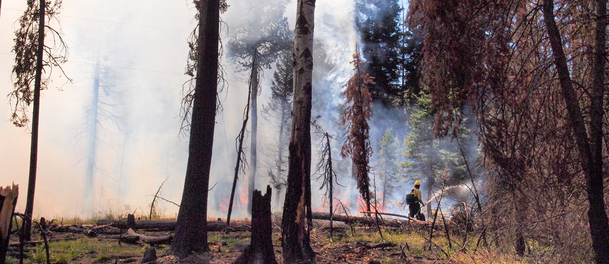 August Fire Restrictions: Jackson Hole | Grand Teton Region - Jackson ...